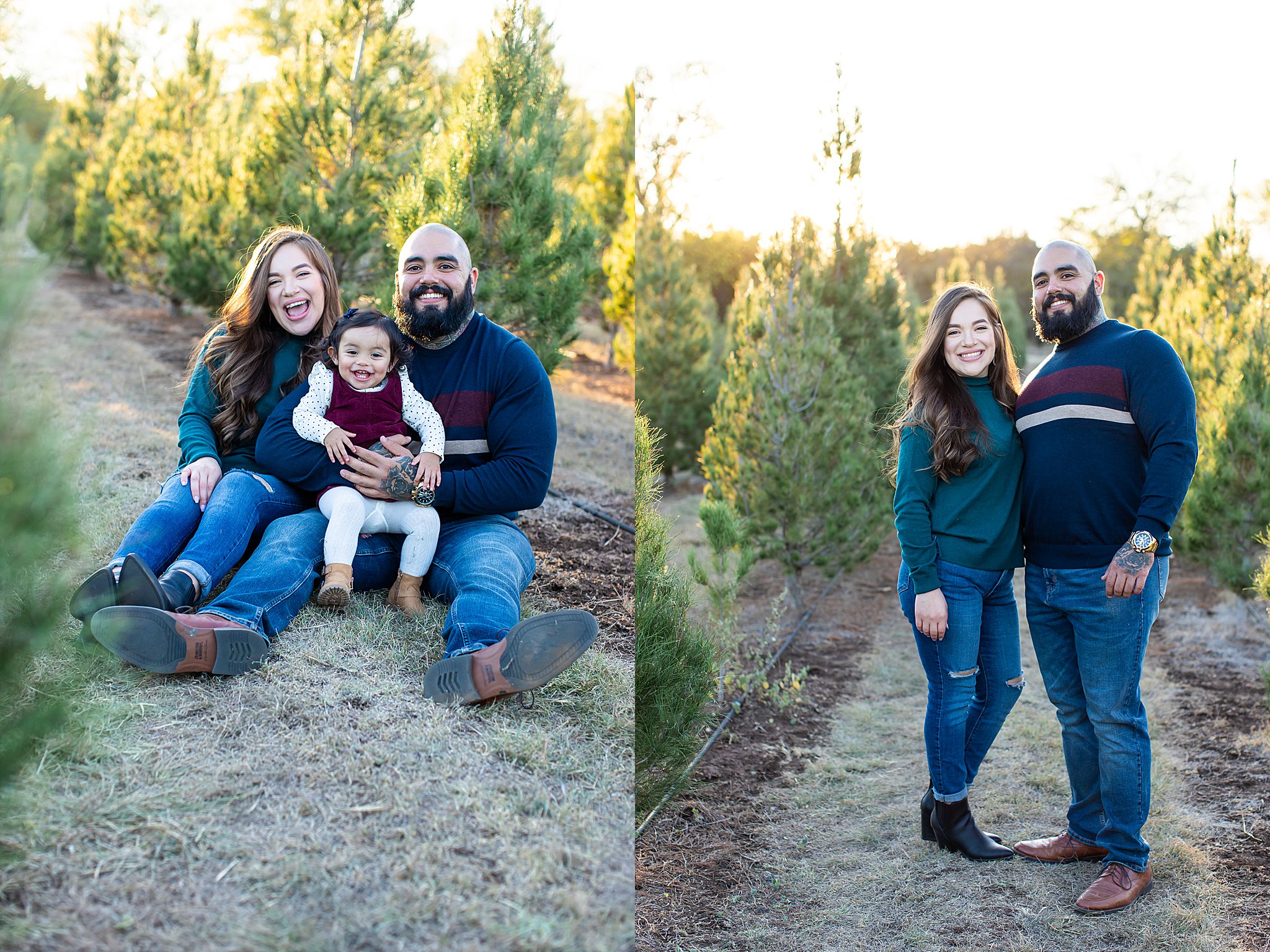 Tree Farm Mini Sessions | 2020 - amorbellophotography.com
